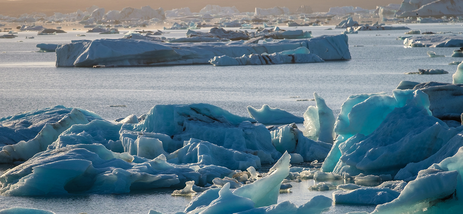Melting Ice: an uncertain future | Science and Cocktails