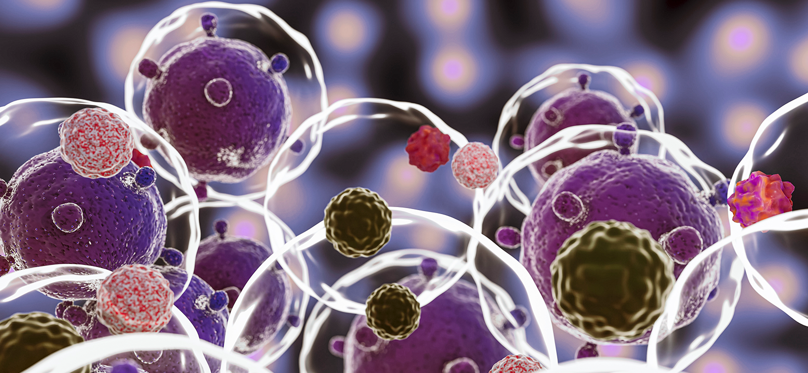 Stem cells and their awareness of future self what do they need to make ...